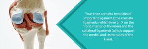 The 9 Most Common Knee Injuries | NJ Spine & Orthopedic
