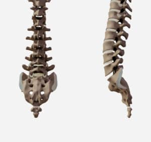 What Is a Coccygectomy? | NJ Spine & Orthopedic